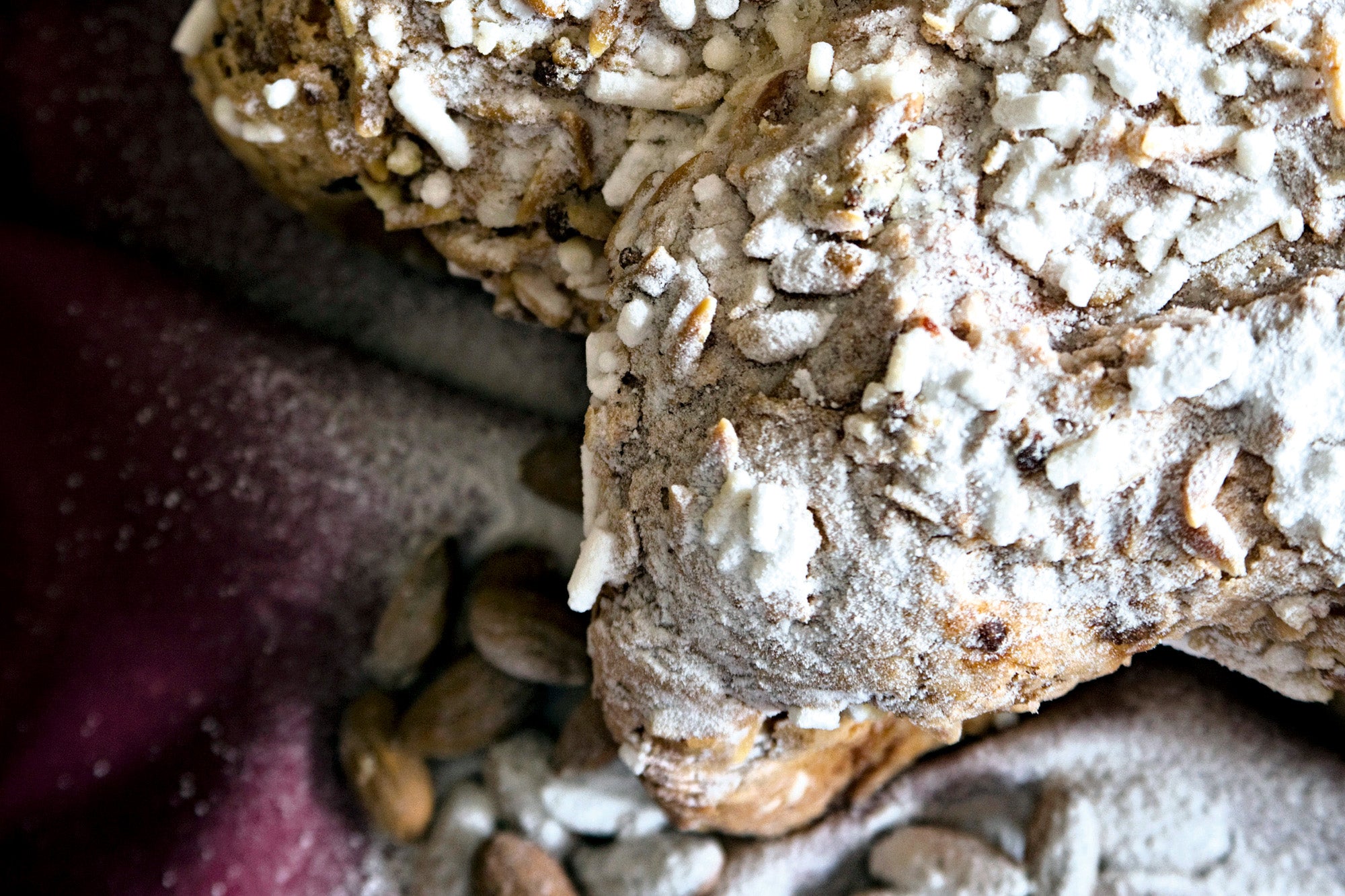 Nadalin: an ancient Veronese Christmas cake – SIME BOOKS